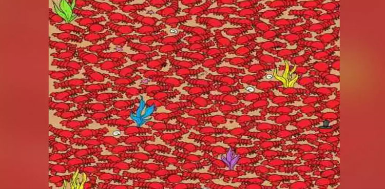Optical illusion: Can you spot the hidden crabs in 11 seconds?