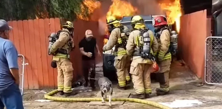 WATCH: Man rushes inside house on fire to save his dog