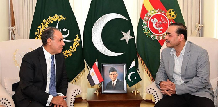 Pakistan, Egypt vow to deepen defense, security cooperation